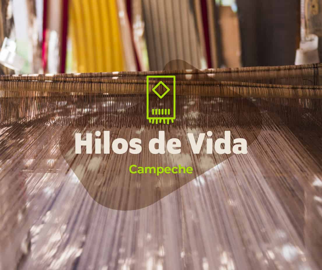 Hilos de Vida - Econecta